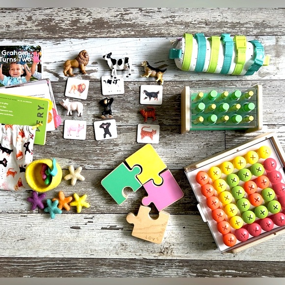 Lovevery | Toys | Lovevery The Companion Complete Kit M 22 23 24 | Poshmark